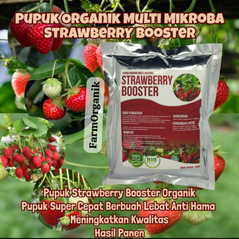 Jual Pupuk Organik Strawberry Booster pupuk pelebat buah dan tanaman | Shopee Indonesia