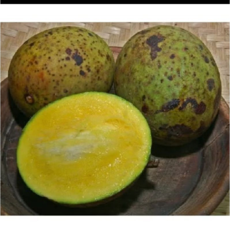 Jual Buah pakel/buah limus segar | Shopee Indonesia