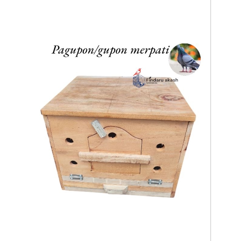 Jual PAGUPON GUPON MERPATI UKURAN SEDANG | Shopee Indonesia