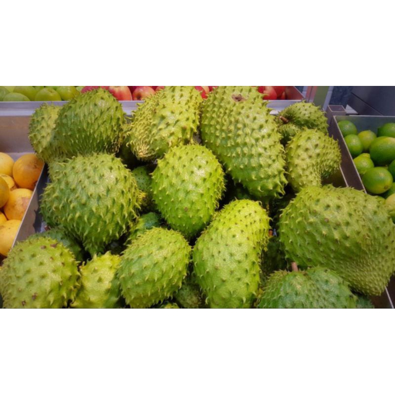Jual sirsat / sirsak segar 1kg | Shopee Indonesia