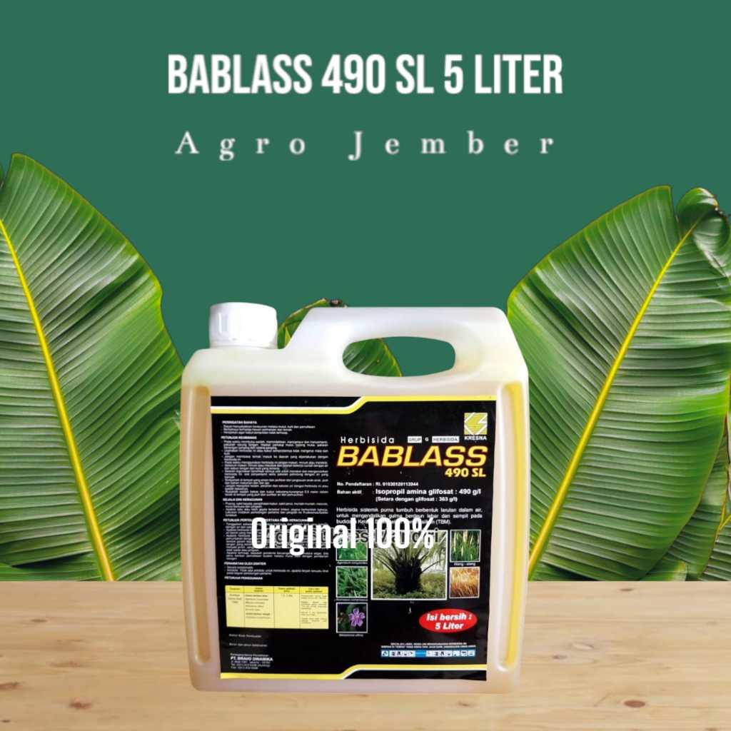 Jual Herbisida Sistemik BABLASS BESAR - 5 Liter | Shopee Indonesia
