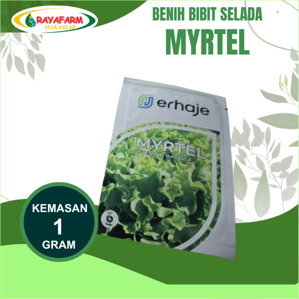 Jual Benih Bibit Selada Myrtel 1gr - Bejo Seed | Shopee Indonesia