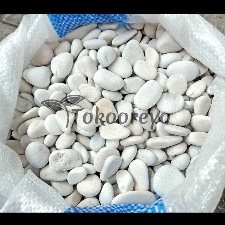 Jual Batu Koral Terlengkap & Harga Terbaru April 2026 | Shopee Indonesia