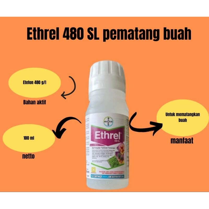 Jual ETHREL 480 SL 100 ML | Shopee Indonesia