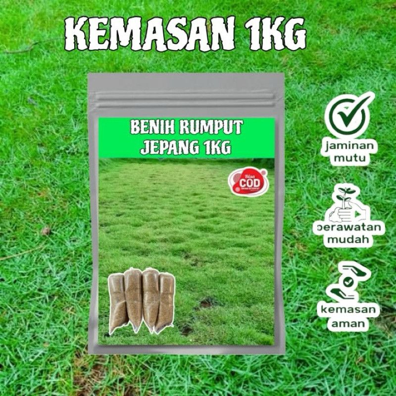 Jual 1kg benih rumput jepang - benih rumput asli - benih rumput hidup ...