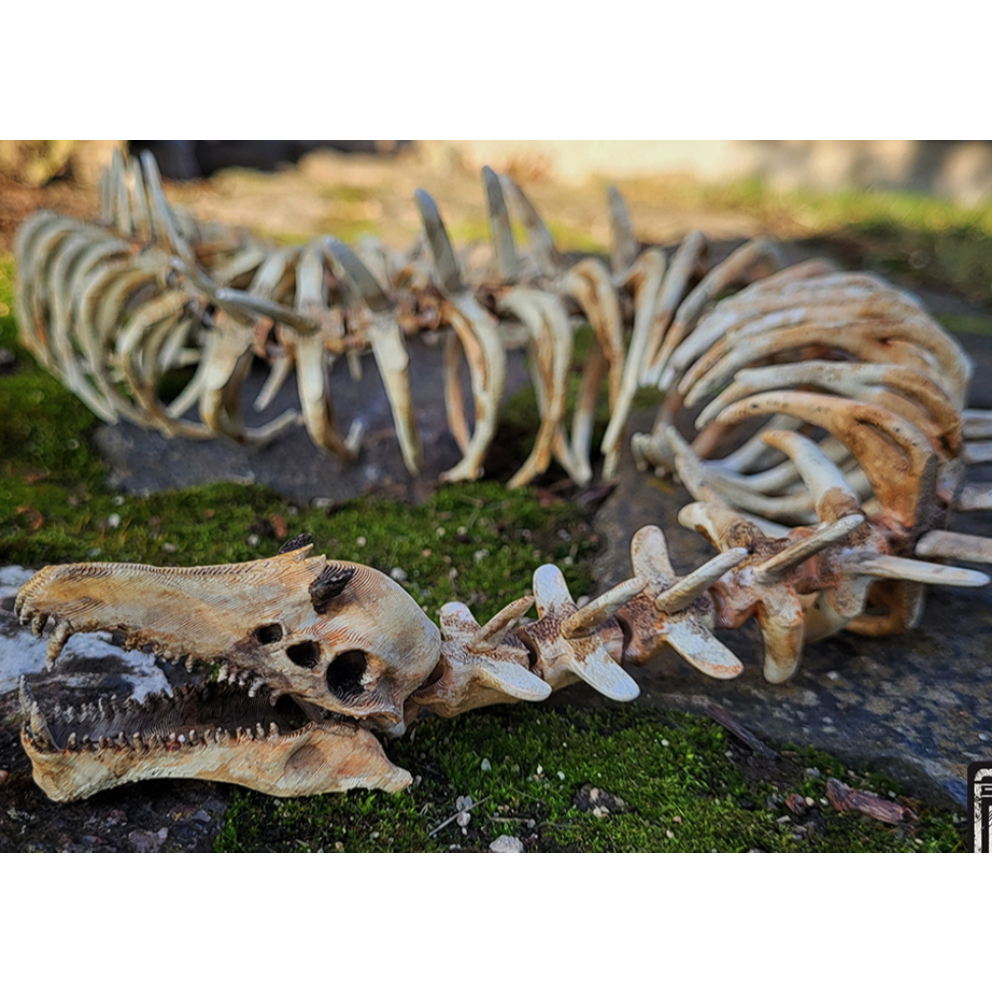 Jual Cuero Mainan Monster Articulated Skeleton Gargantuan Leviathan ...
