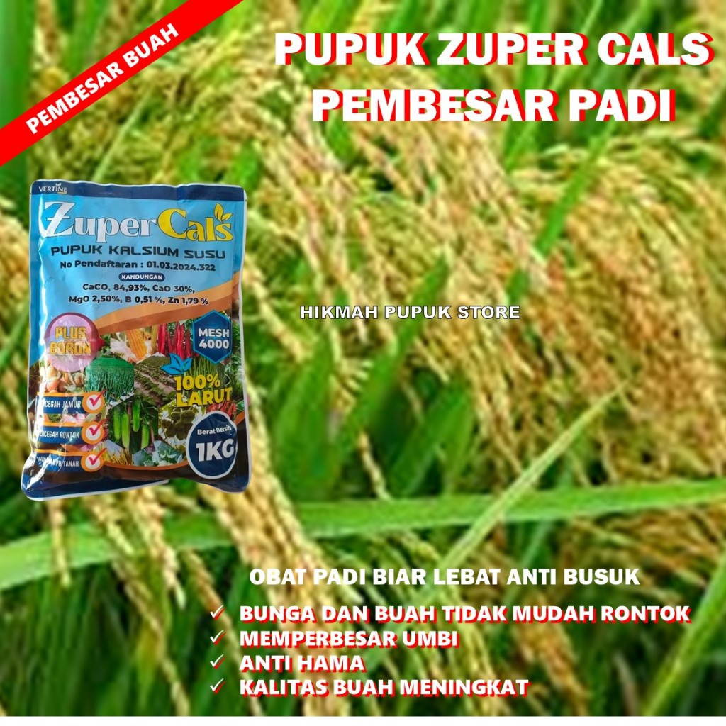 Jual PUPUK ANTI BUSUK BATANG PADI ZUPERCALS 1 KG Pupuk Pencegah Busuk ...