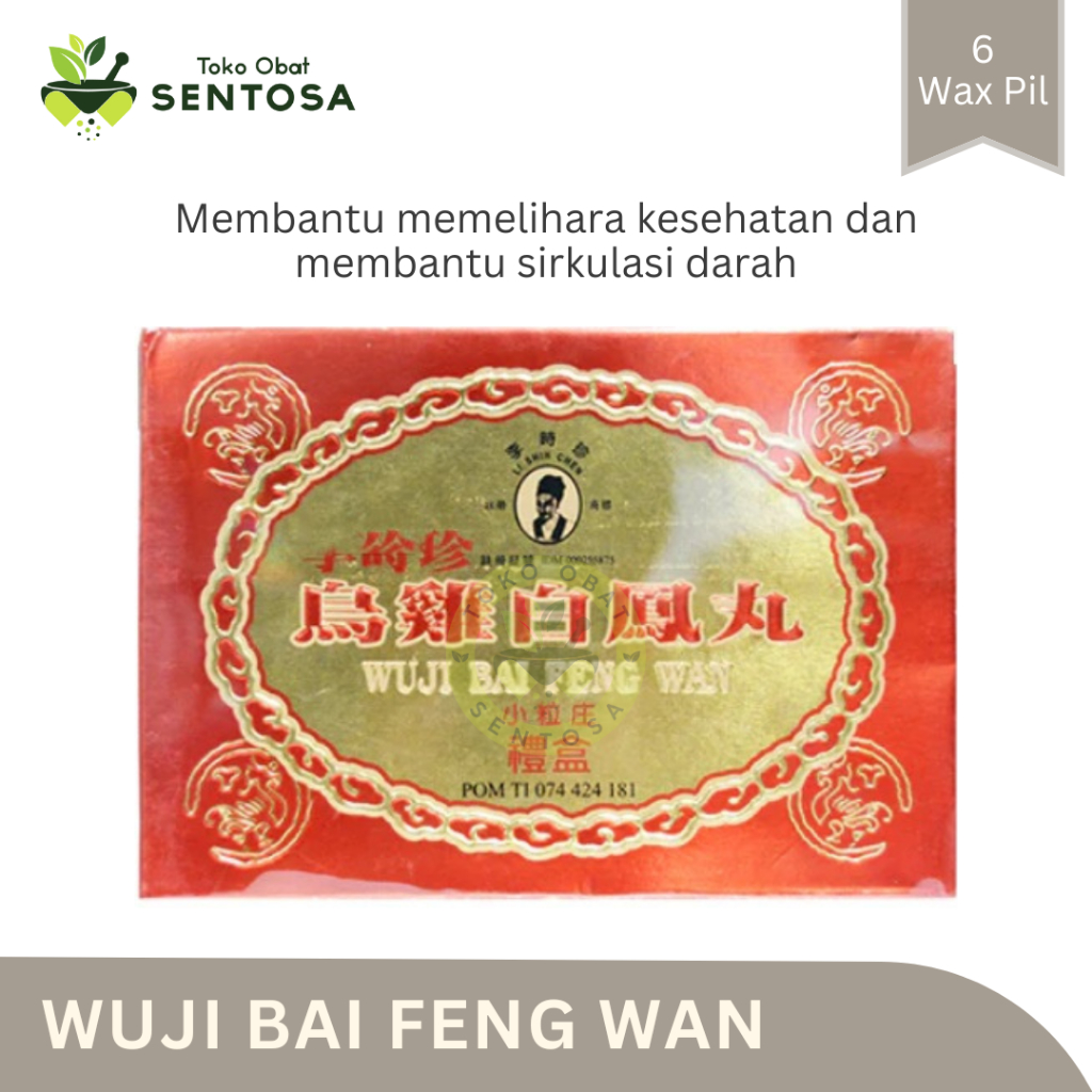 Jual Wuji Bai Feng Wan (Membantu Sirkulasi Darah) | Shopee Indonesia