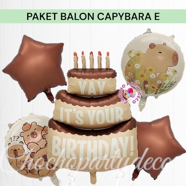 Jual Paket Balon CAPYBARA E / Dekorasi Ulang Tahun CAPYBARA | Shopee ...