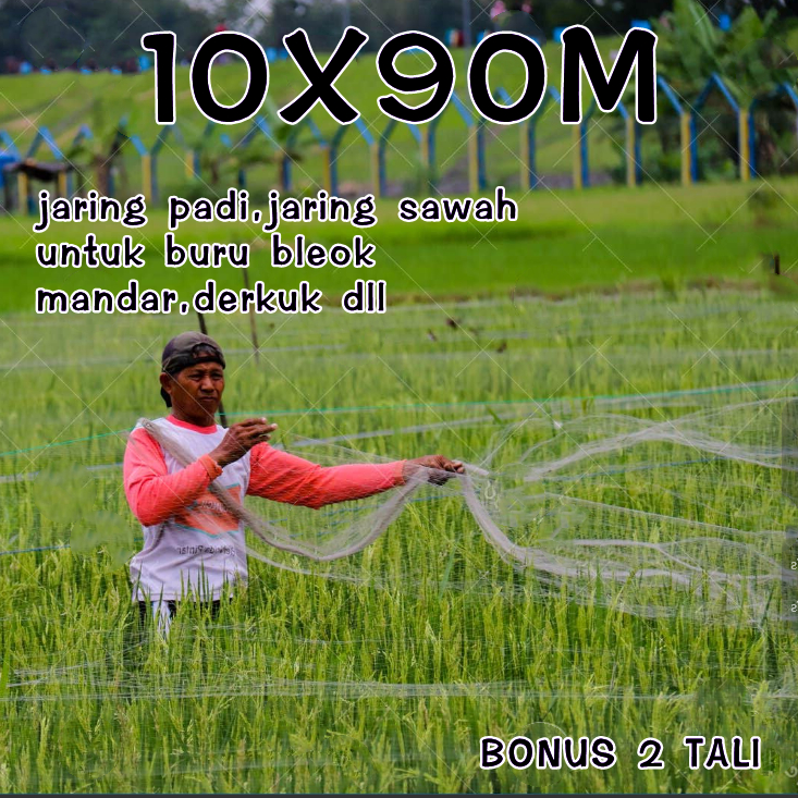 Jual Jaring burung padi sawah 8x90m jaring burung perkutut jaring ...
