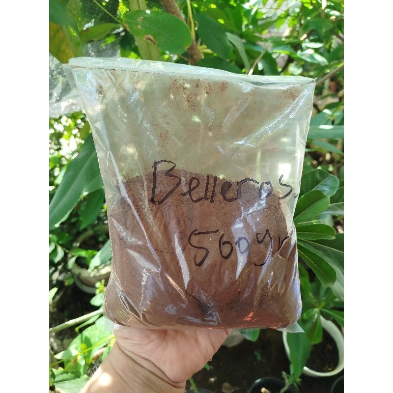 Jual Schoko Cocoa Powder Belle Rose Repack Kemasan 500gram | Shopee ...