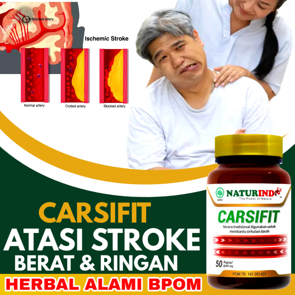 Jual Obat Stroke Ringan dan Berat Pemulihan Stroke Cepat Herbal ...