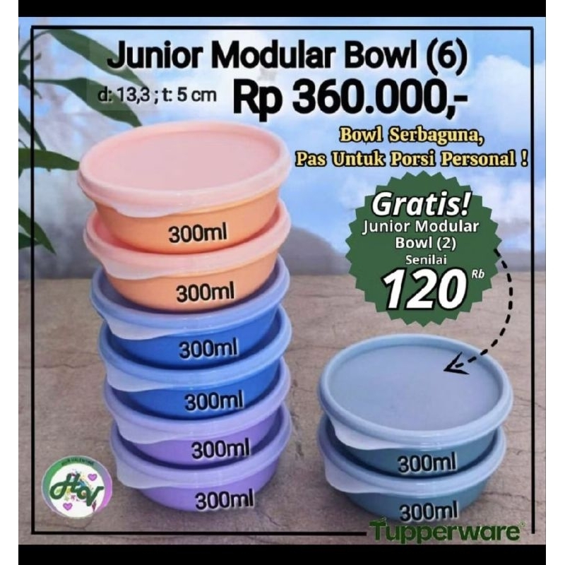 Jual junior modular bowl harga satuan | Shopee Indonesia