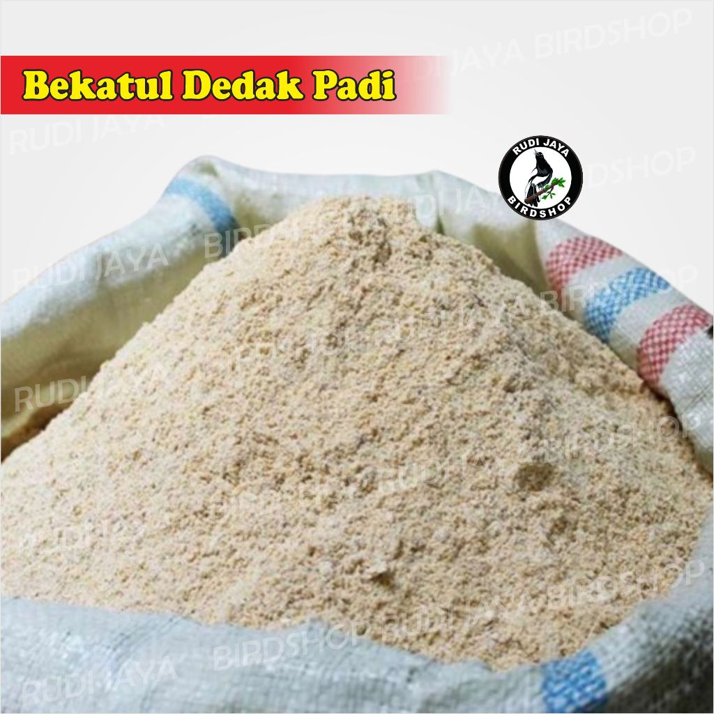 Jual BEKATUL KATUL 1 KG DEDAK MAKANAN AYAM UNGGAS BEBEK IKAN COMBORAN ...