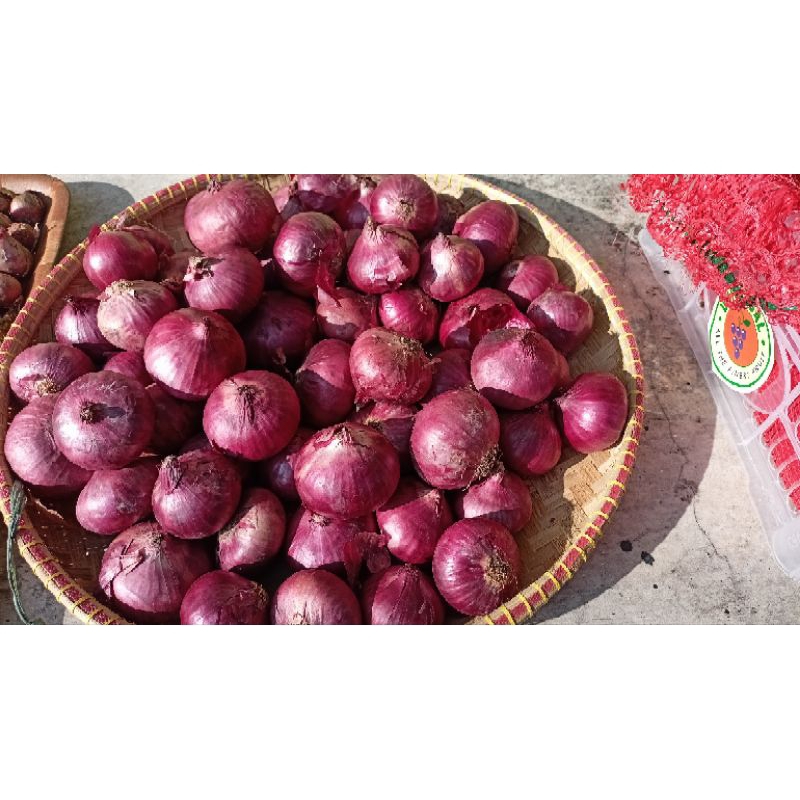 Jual bawang merah india | Shopee Indonesia
