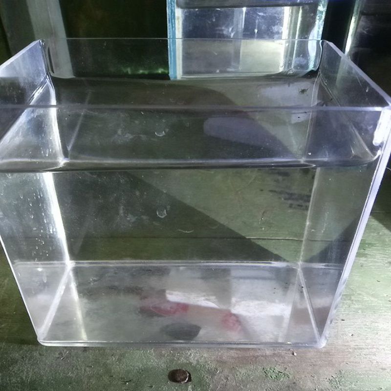 Jual Soliter cupang | Shopee Indonesia