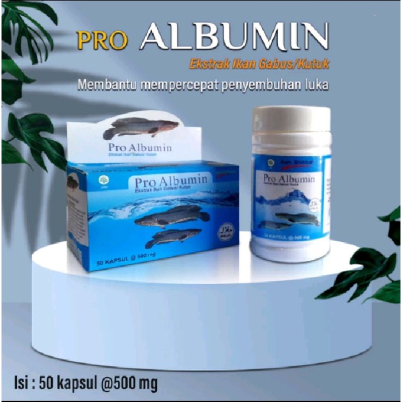 Jual Pro Albumin Kapsul Ikan Gabus Obat Pra Operasi Cesar | Shopee Indonesia