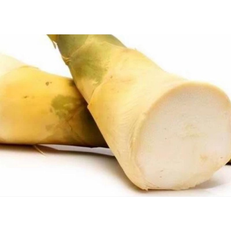 Jual rebung bambu muda, segar 1 kg | Shopee Indonesia