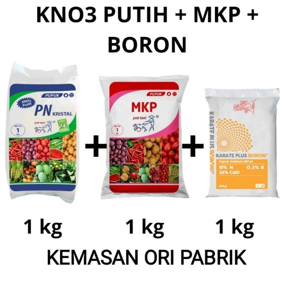 Jual PAKET PUPUK KNO3 PUTIH + MKP PAK TANI + BORON PUPUK GENERATIF ANGGUR DURIAN ALPUKAT JAMBU ...