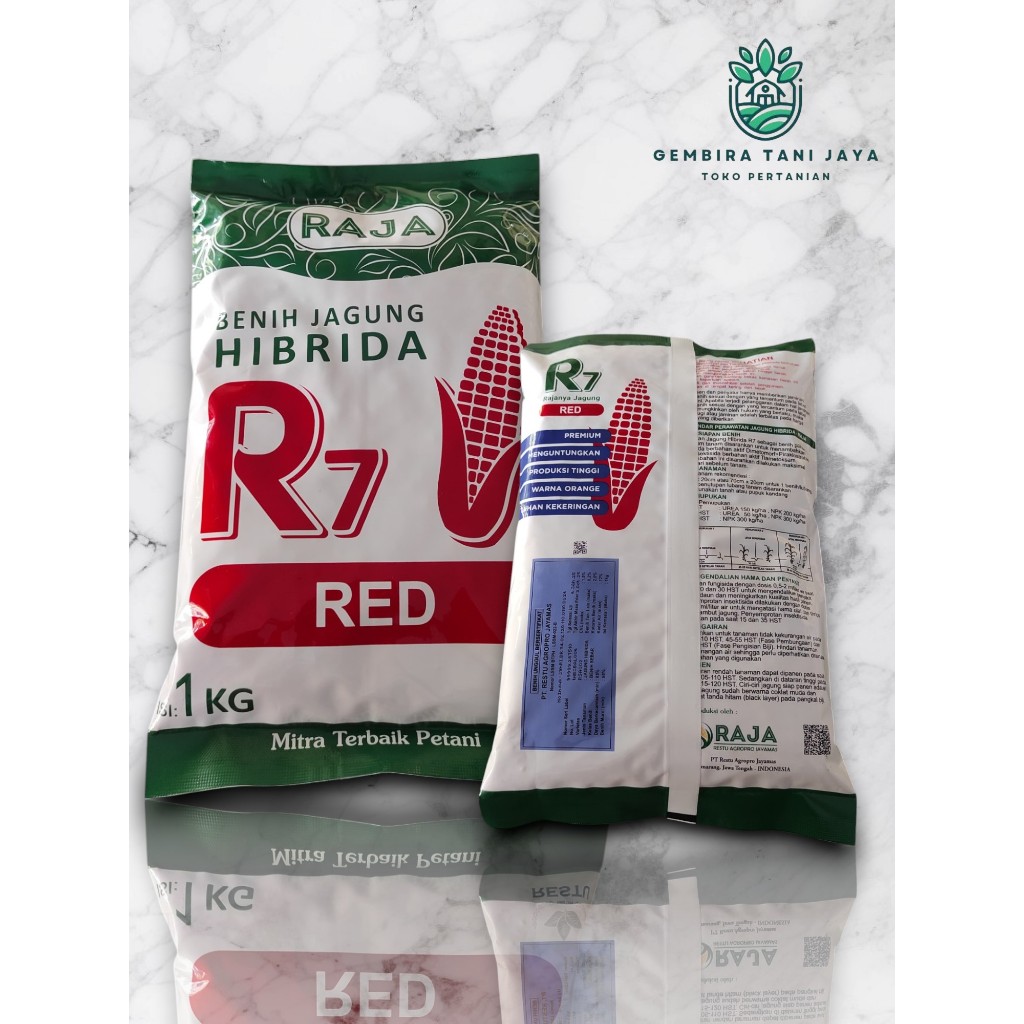 Jual Benih Jagung RAJA R7 Red - 1kg | Shopee Indonesia