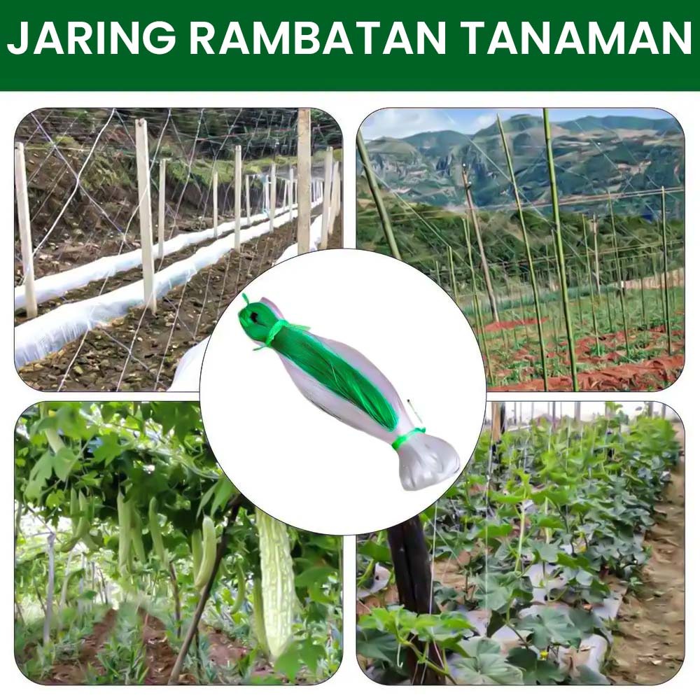 Jual VIGNES - Jaring Rambatan Tanaman 100mx2m jaring pertanian | Shopee ...