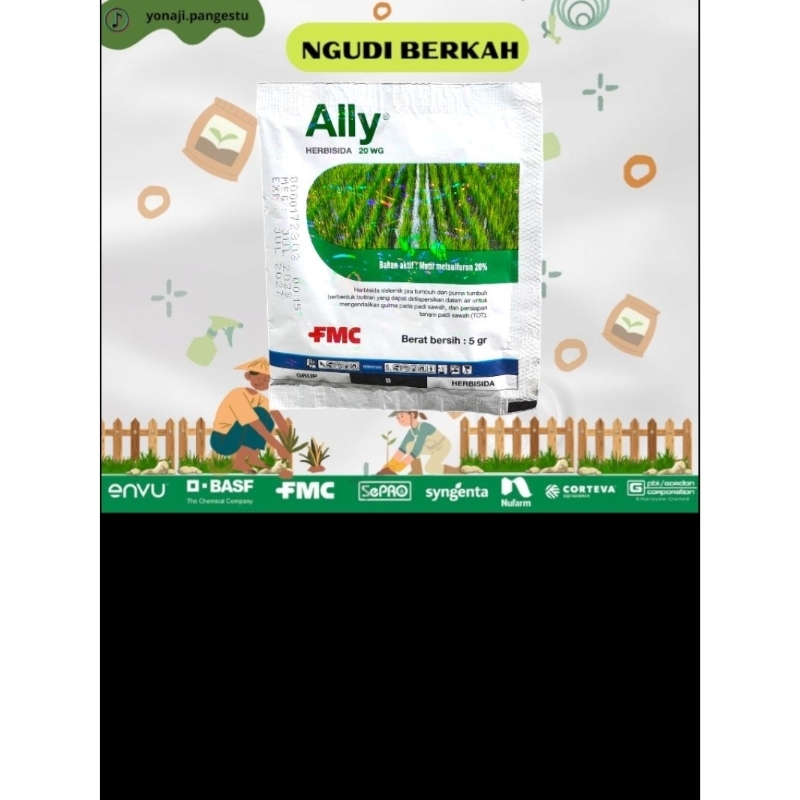 Jual ally plus Ally Plus herbisida pada tanaman padi | Shopee Indonesia