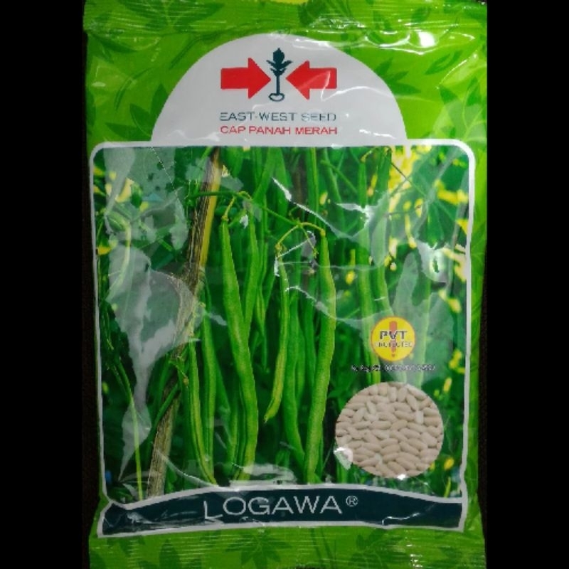 Jual Benih Buncis LOGAWA kemasan pabrik 225 butir Panah Merah | Shopee ...