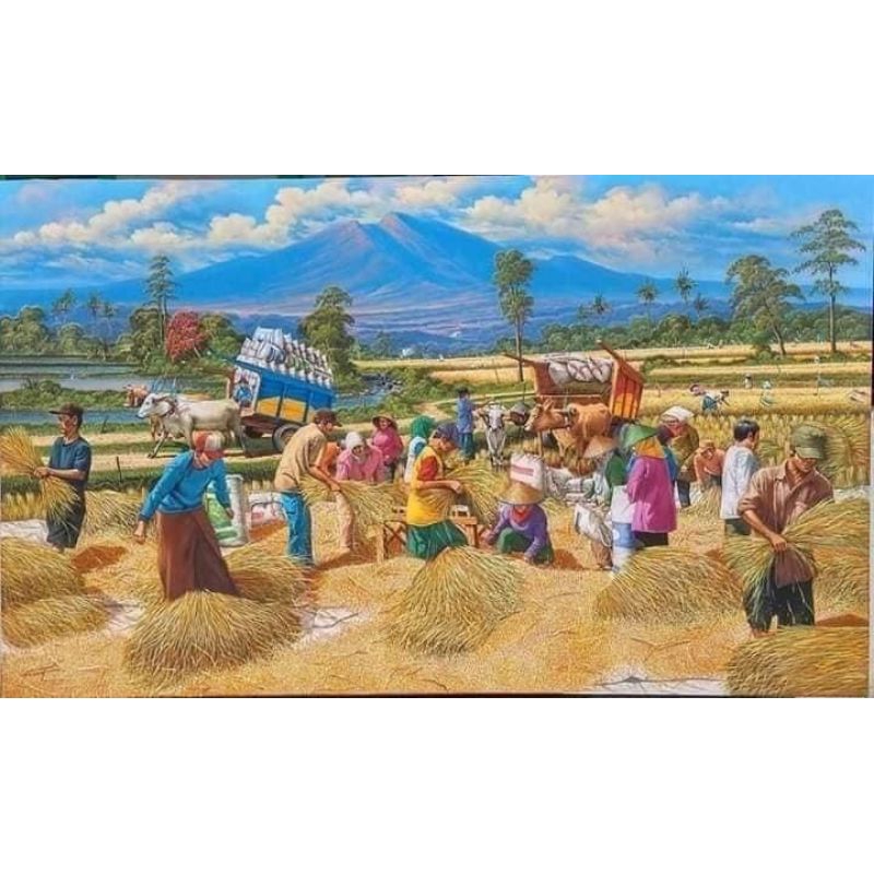 Jual poster cetak,panen padi di sawah, hiasan dinding,panen padi di ...