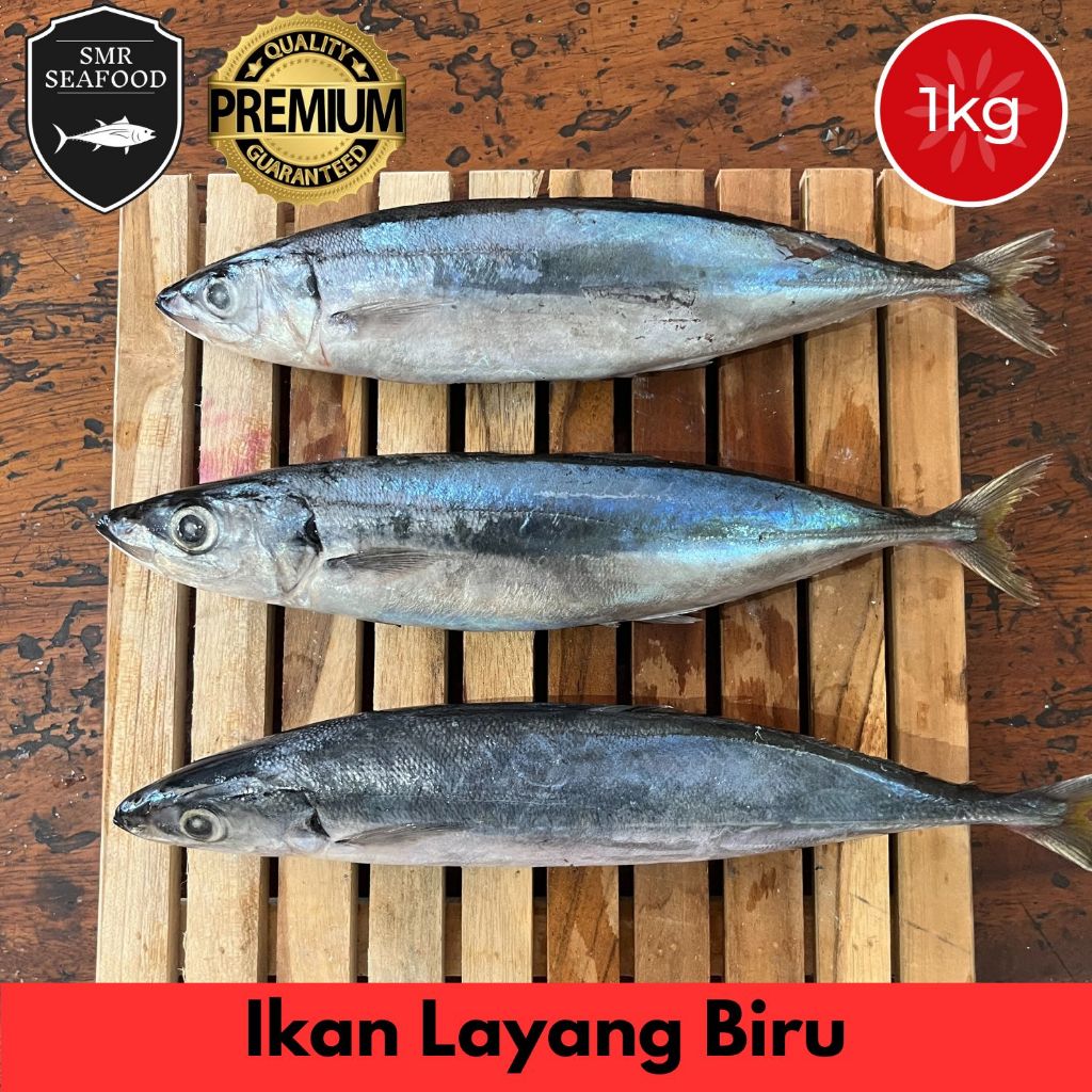 Jual Ikan Layang Jumbo / Ikan Layang MB / Muroaji / Layang Biru ...