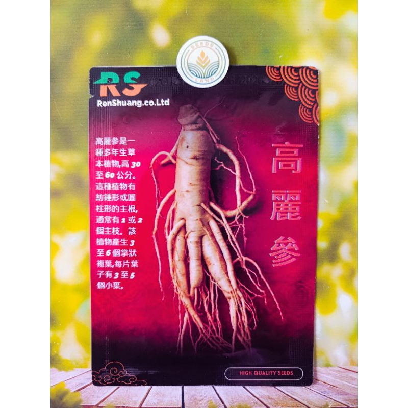 Jual BIJI BENIH GINSENG KOREA MERAH IMPOR KEMASAN ORIGINAL ± 20 BUTIR ...