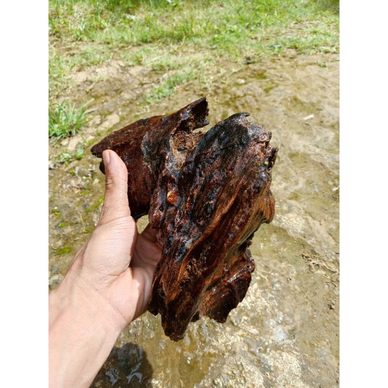 Jual Kayu rentek,size L ,kayu rentek tekstur,kayu rentek dekorasi ...