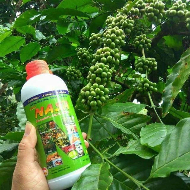 Jual Pupuk Poc Nasa 1Liter , Pupuk Organik Cair, Pupuk Daun Pupuk ...