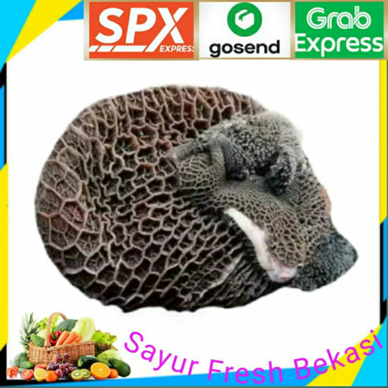 Jual Babat Sapi Hitam 500g. | Shopee Indonesia