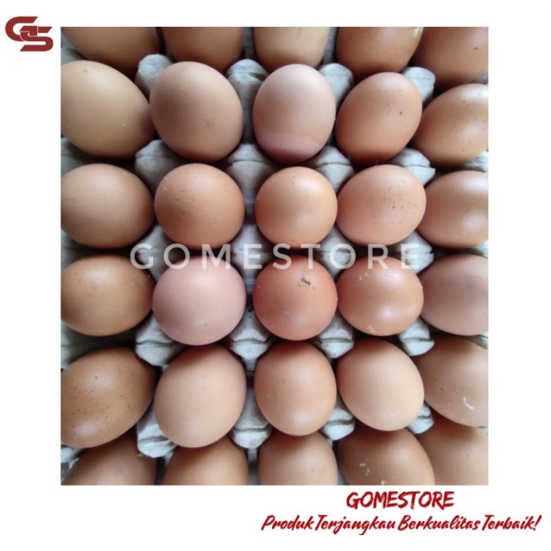 Jual Telur Ayam Ras Negeri | Shopee Indonesia