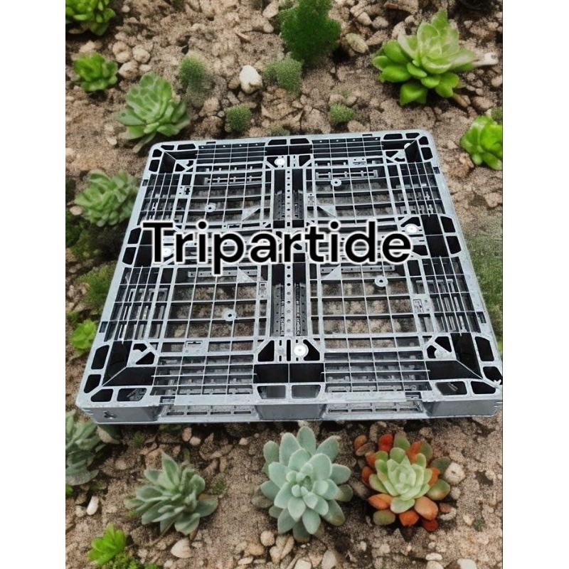 Jual Pallet Plastik Tempat Barang Di Gudang Logistik Pengiriman Barang ...