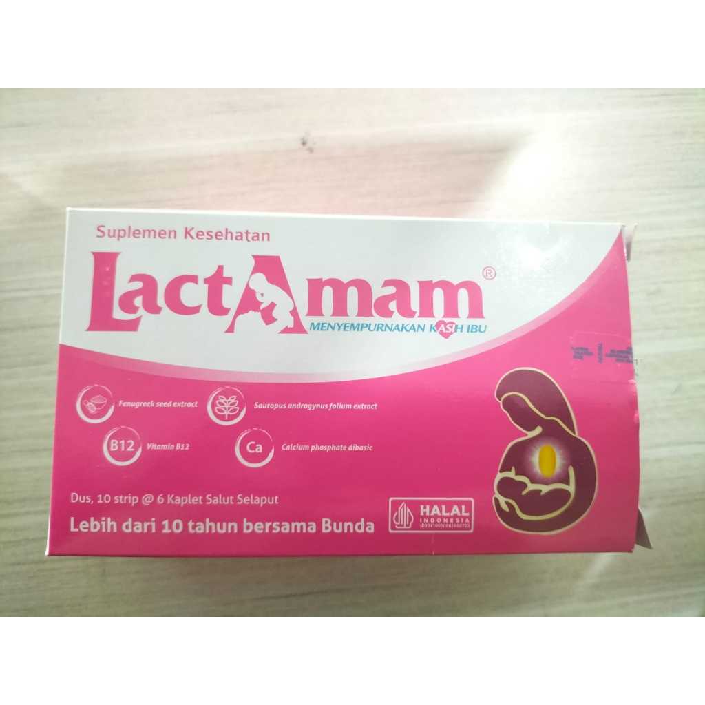 Jual Lactamam Booster ASI (1 Strip isi 6 kaplet) KEMASAN BARU | Shopee ...