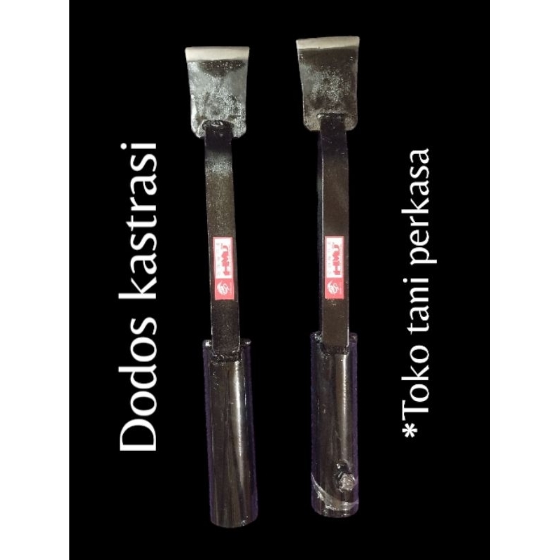 Jual Dodos kastrasi untuk membuang bunga sawit atau buah dompet | Shopee Indonesia