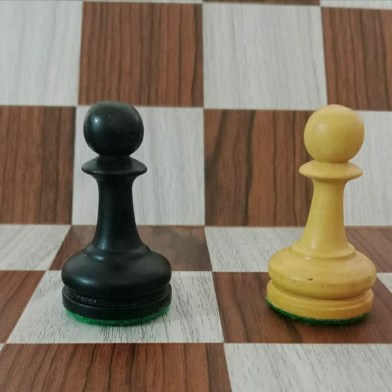 Jual Chess pawn, pion catur bidak catur eceran tipe Molluca sebagai ...
