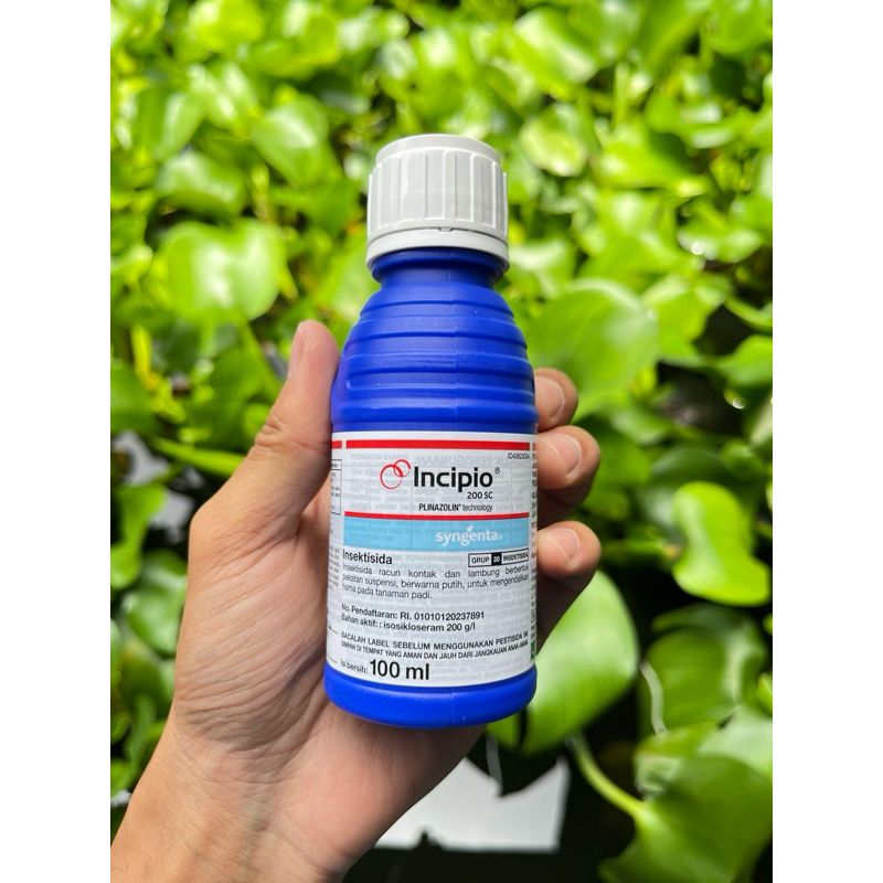 Jual INSEKTISIDA INCIPIO 200 SC KEMASAN 100 ML | Shopee Indonesia