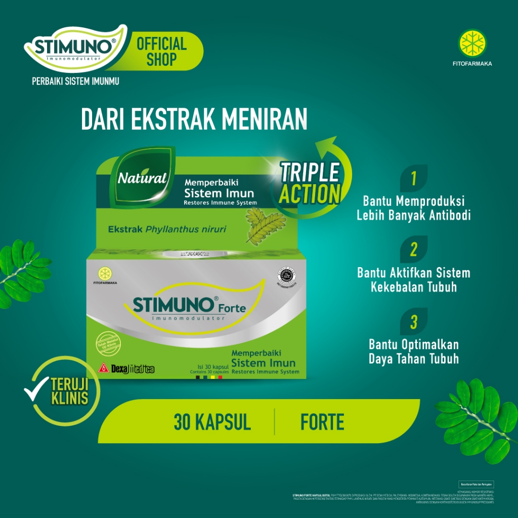 Jual Stimuno Forte 30 Kapsul | Suplemen Herbal Perbaiki Sistem Imun ...