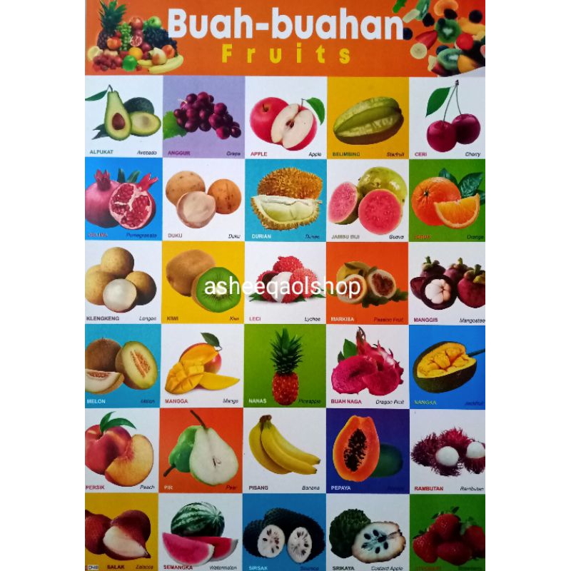 Jual Poster EDUKASI MURAH..!! FRUIT-BUAH BUAHAN (BILINGUAL) | Shopee ...