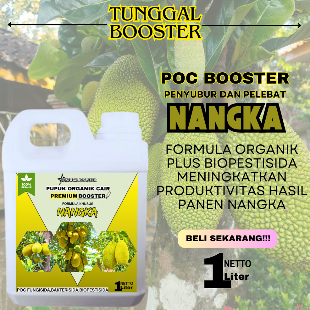 Jual Pupuk Organik Cair Tanaman Nangka Booster pelebat dan Perangsang Buah Nangka Premium 1Liter ...