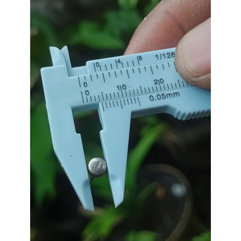 Jual Part Knob/Crown Jam tangan TITUS SWISS Asli copotan jam suku ...