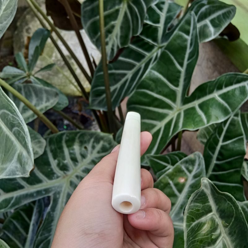 Jual pipa pipo tulang sapi model 99 premium | Shopee Indonesia