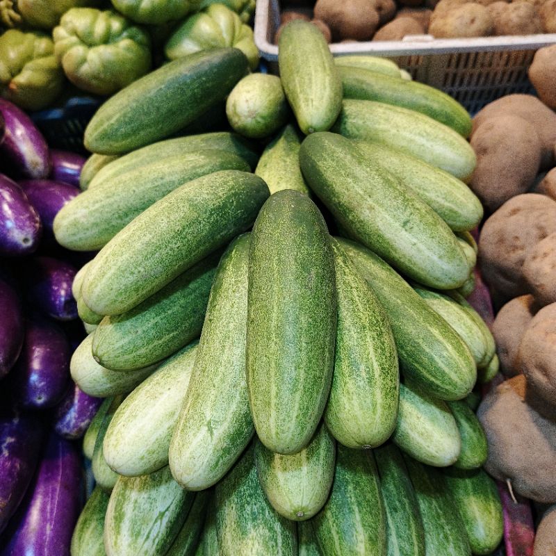 Jual timun/cucumber 1kg | Shopee Indonesia
