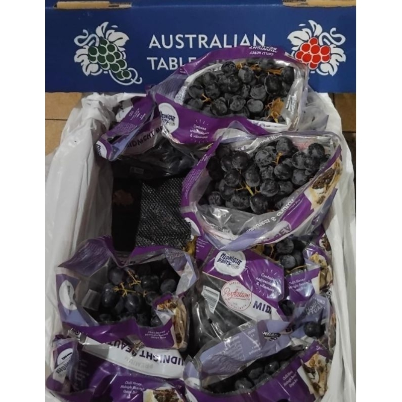 Jual Indukbuah Buah Anggur Black Autumn Australia Manis Seedless 1 Box ...