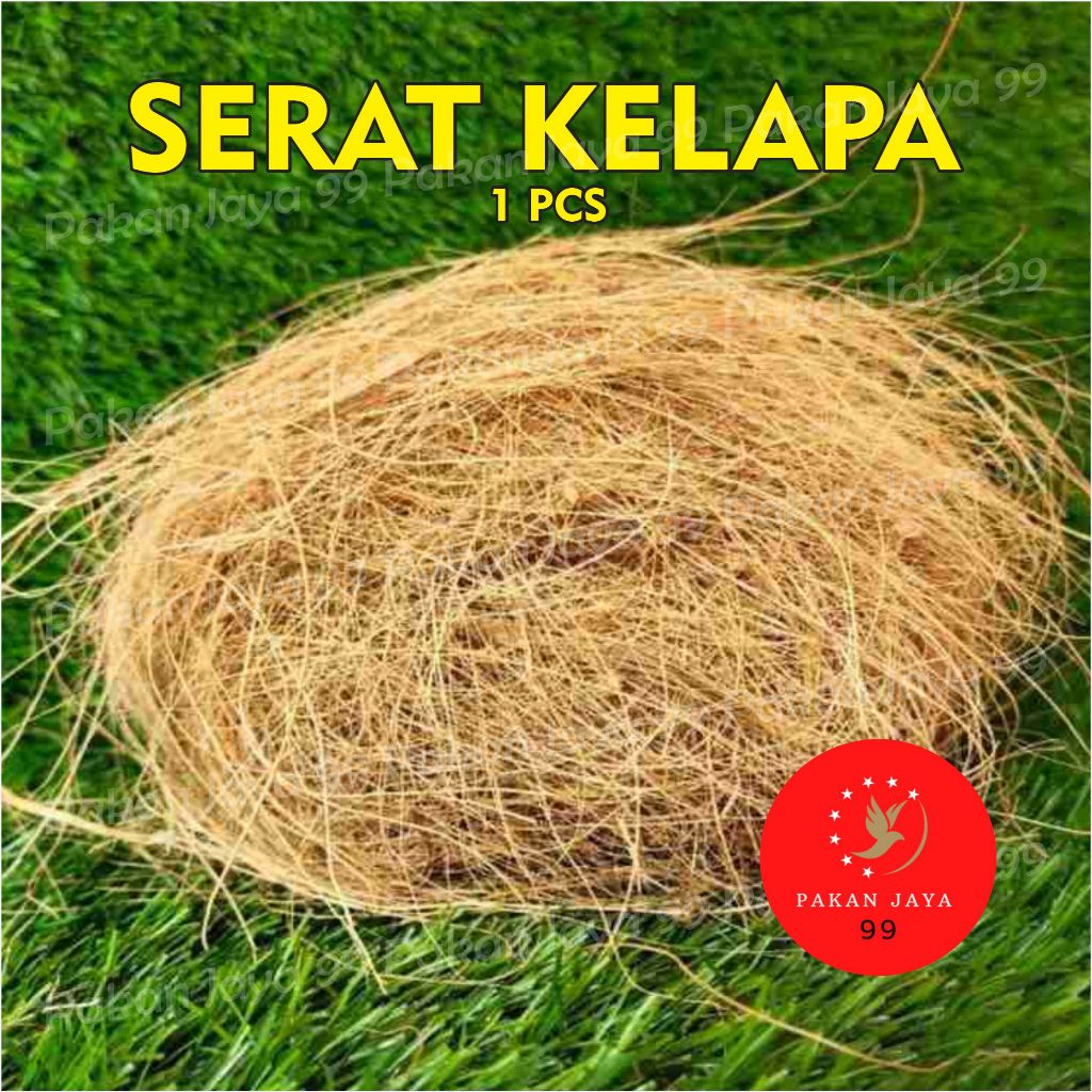 Jual READY SERAT KELAPA SUSUH KELAPA 1 PCS SERABUT KELAPA ASLI UNTUK ...