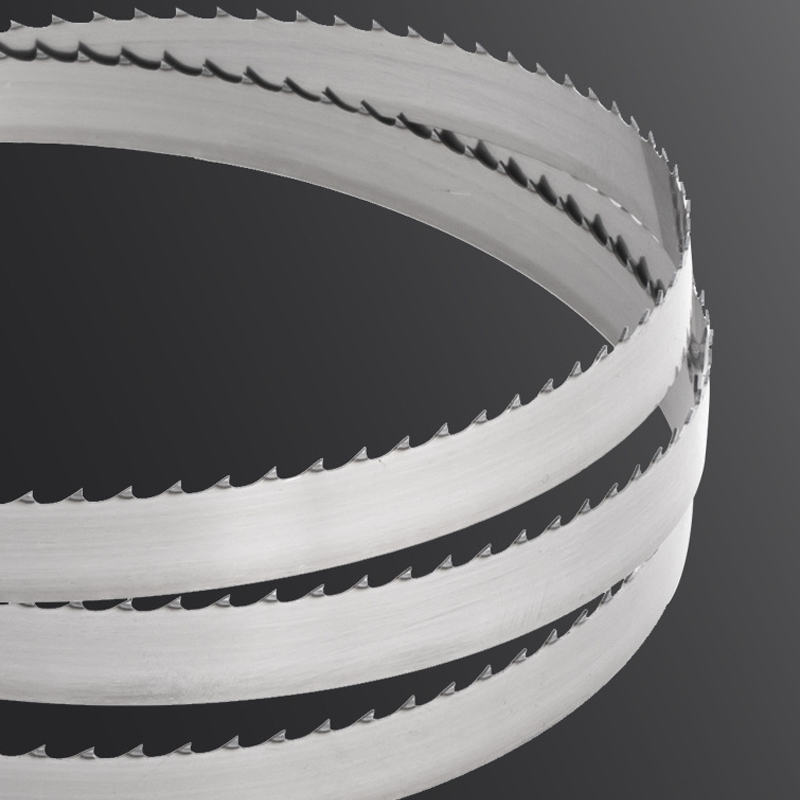 Jual Mata Pisau Bonesaw 1300 MM Mesin MTX-J130 PAZTO J130 /Gergaji Pita ...