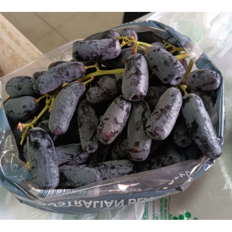 Jual ANGGUR BLACK SAPPHIRE AUSTRALIA MANIS 1 KG - 500 GR | Shopee Indonesia