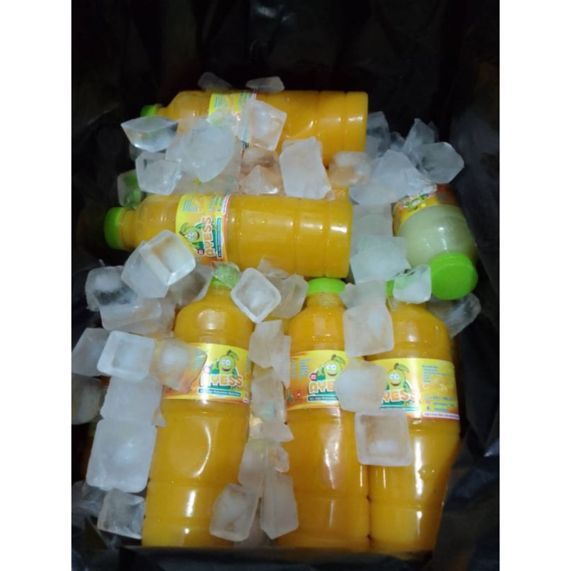 Jual Jus Mangga - Mango Juice 330ml | Shopee Indonesia